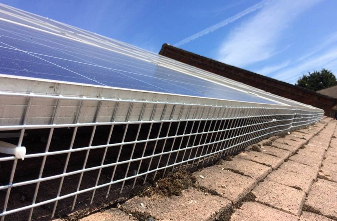 Basic - Critter Guard Install – Radiant Energy